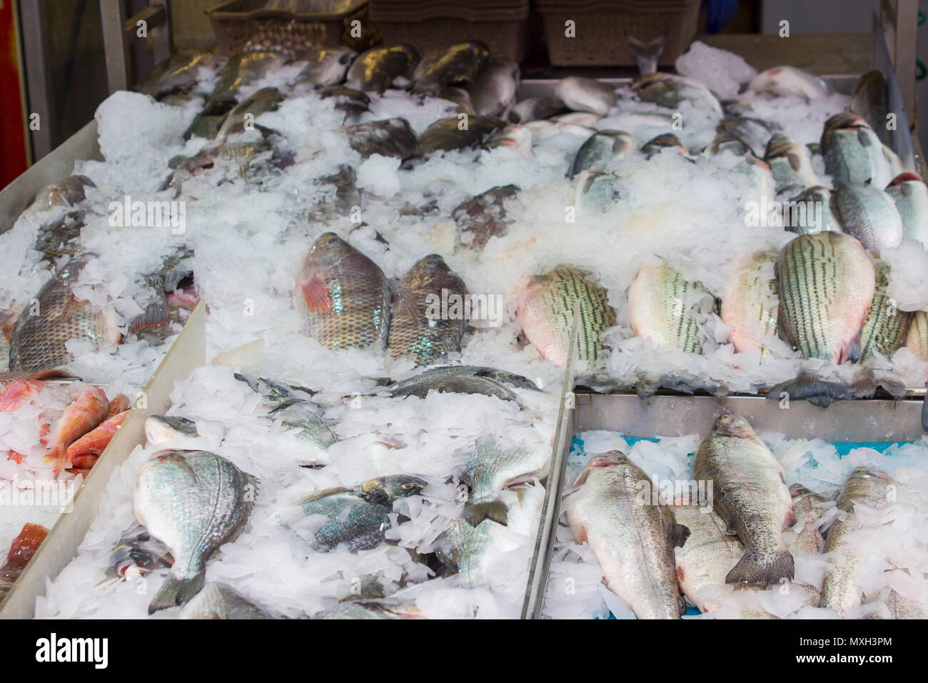 Stand fins hi-res stock photography and images - Alamy