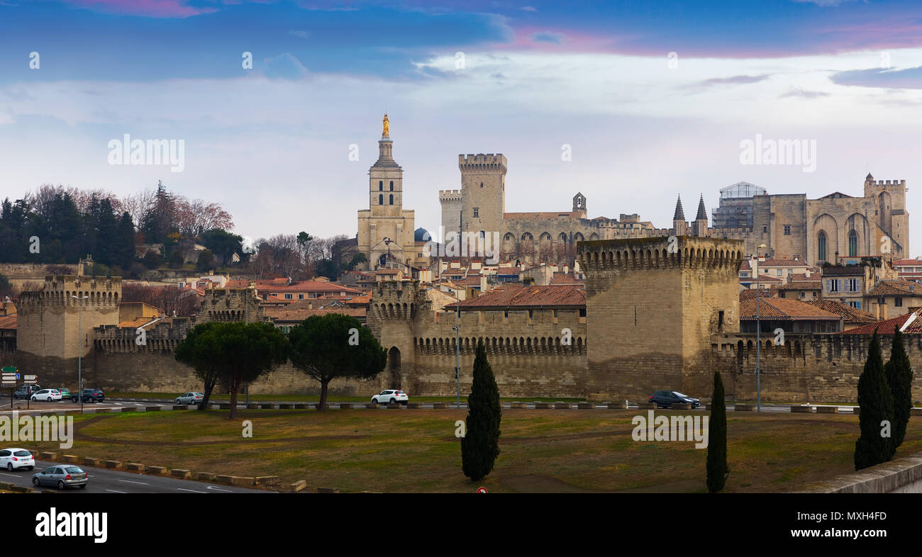 Panoramic view of Papal Palace, historic centre of Avignon, France ...