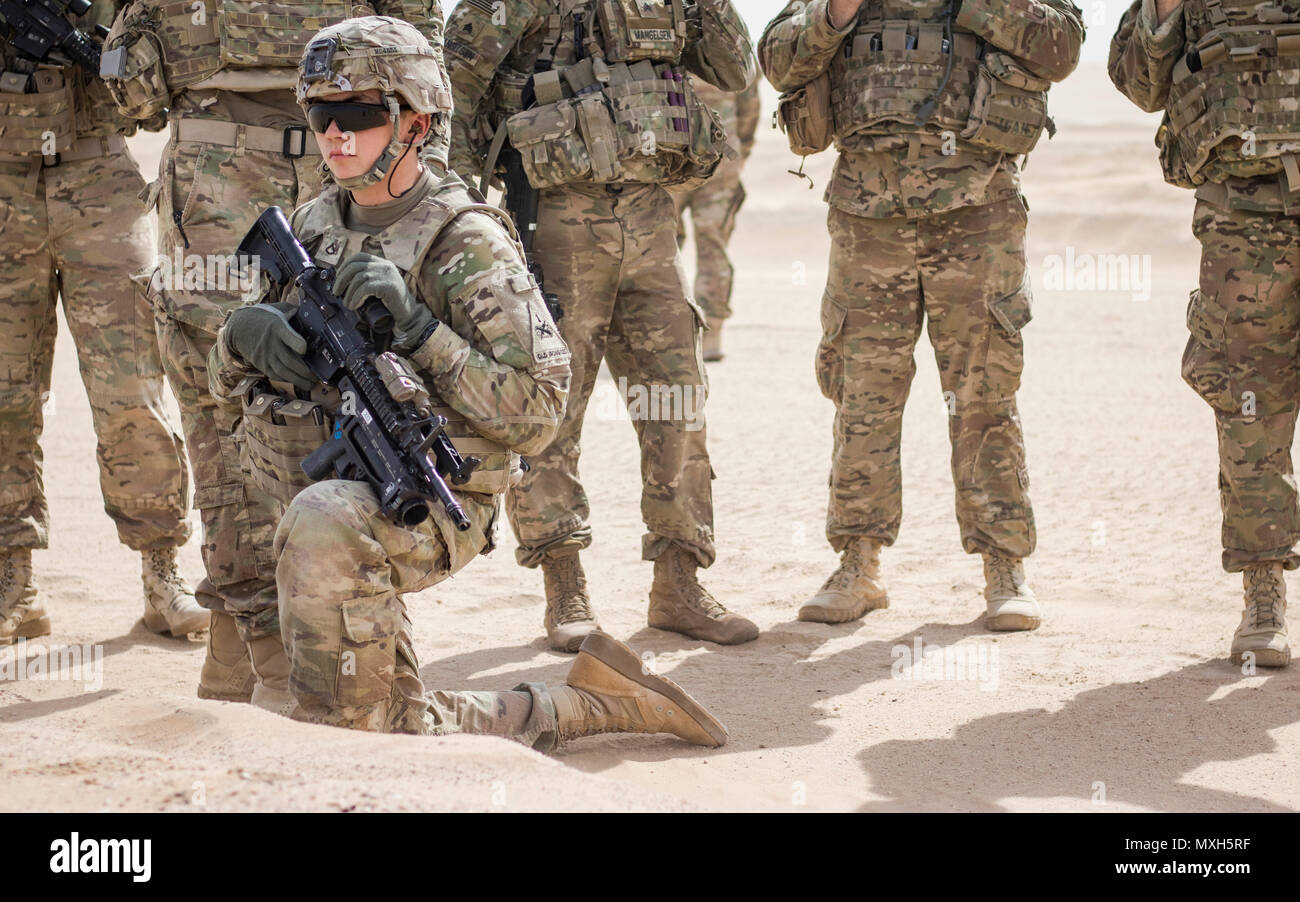 77th Armored Regiment High Resolution Stock Photography and Images - Alamy