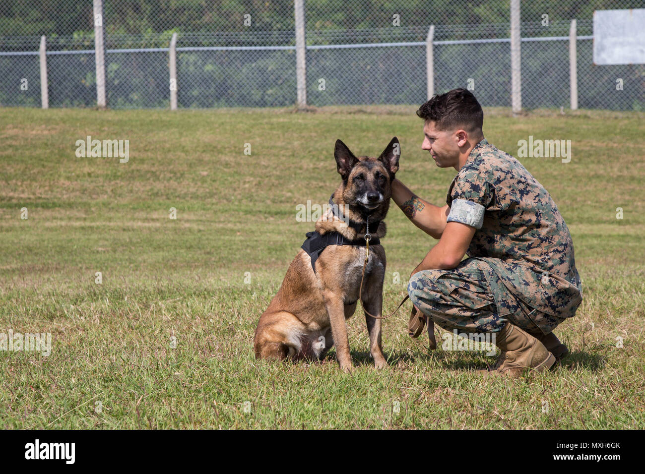 U.S. Marine Lance Cpl. Matthew Byrd, dog handler, Provost Marshall’s ...