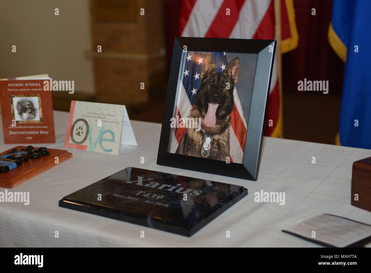 A photo of Xarius, a military working dog assigned to the 28th Security ...