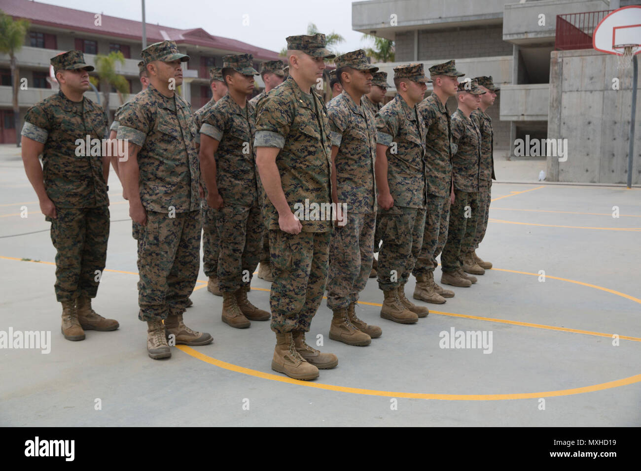 Marines with 5th Marine Regiment, 1st Marine Division, are recognized ...