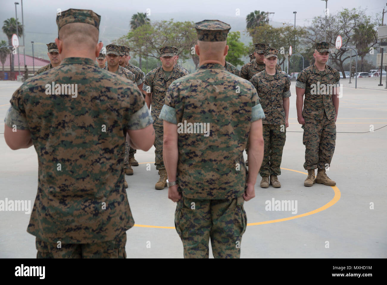 Marine Corps Col. George Schreffler, commanding officer, 5th Marine ...