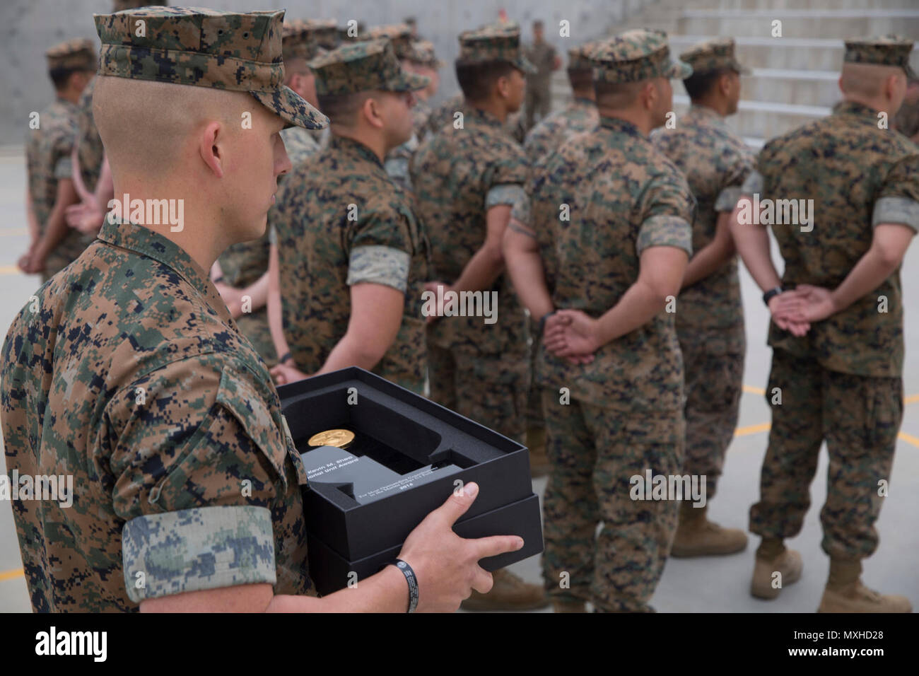 Marines with 5th Marine Regiment, 1st Marine Division, are recognized ...