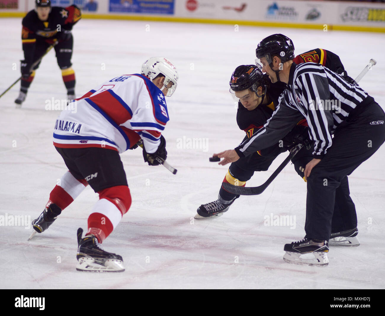Alaska Aces forward Ben Lake faces off with Indianapolis Fuel forward ...