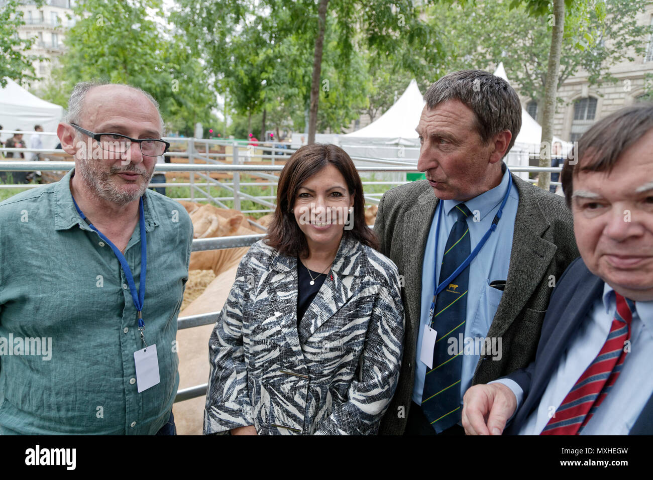 Paris, France. 2 June, 2018. Anne Hidalgo (C), Mayor of Paris ...