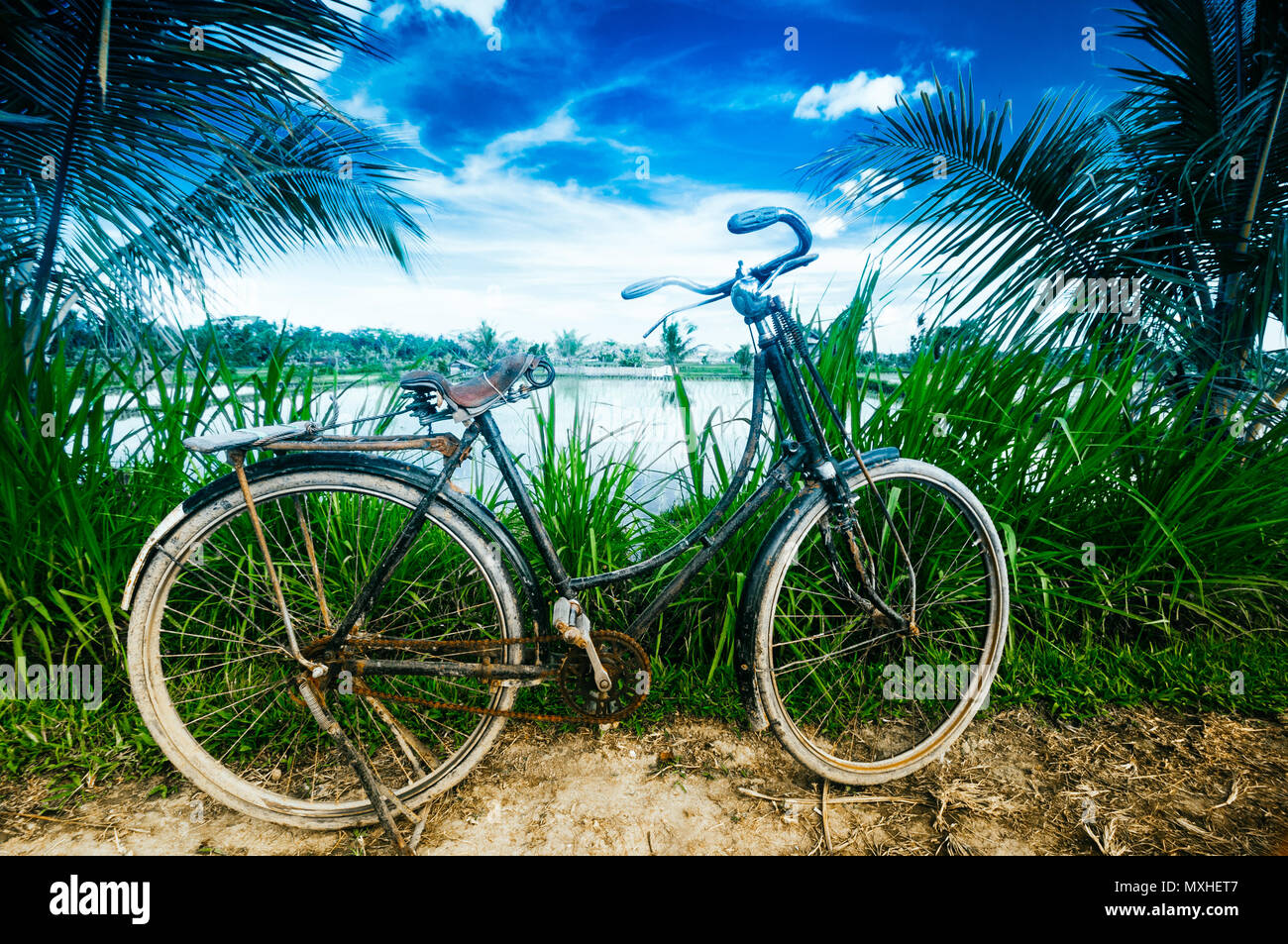 Ubud paddy bike hi-res stock photography and images - Alamy