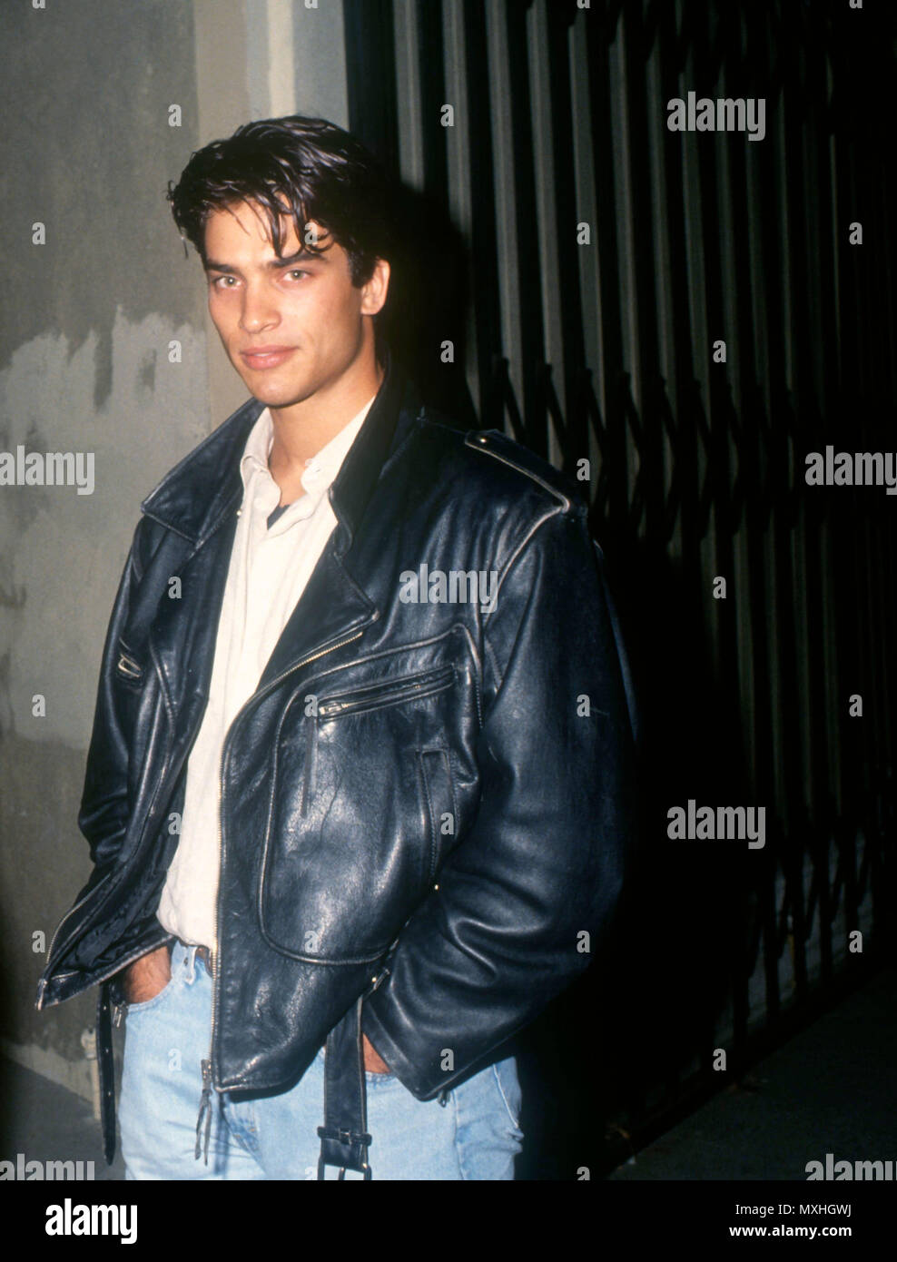 CULVER CITY, CA - AUGUST 10: Actor Johnathon Schaech attends the Herb ...