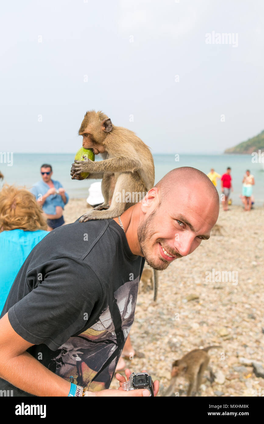 Self portrait with monkeys hi-res stock photography and images - Alamy