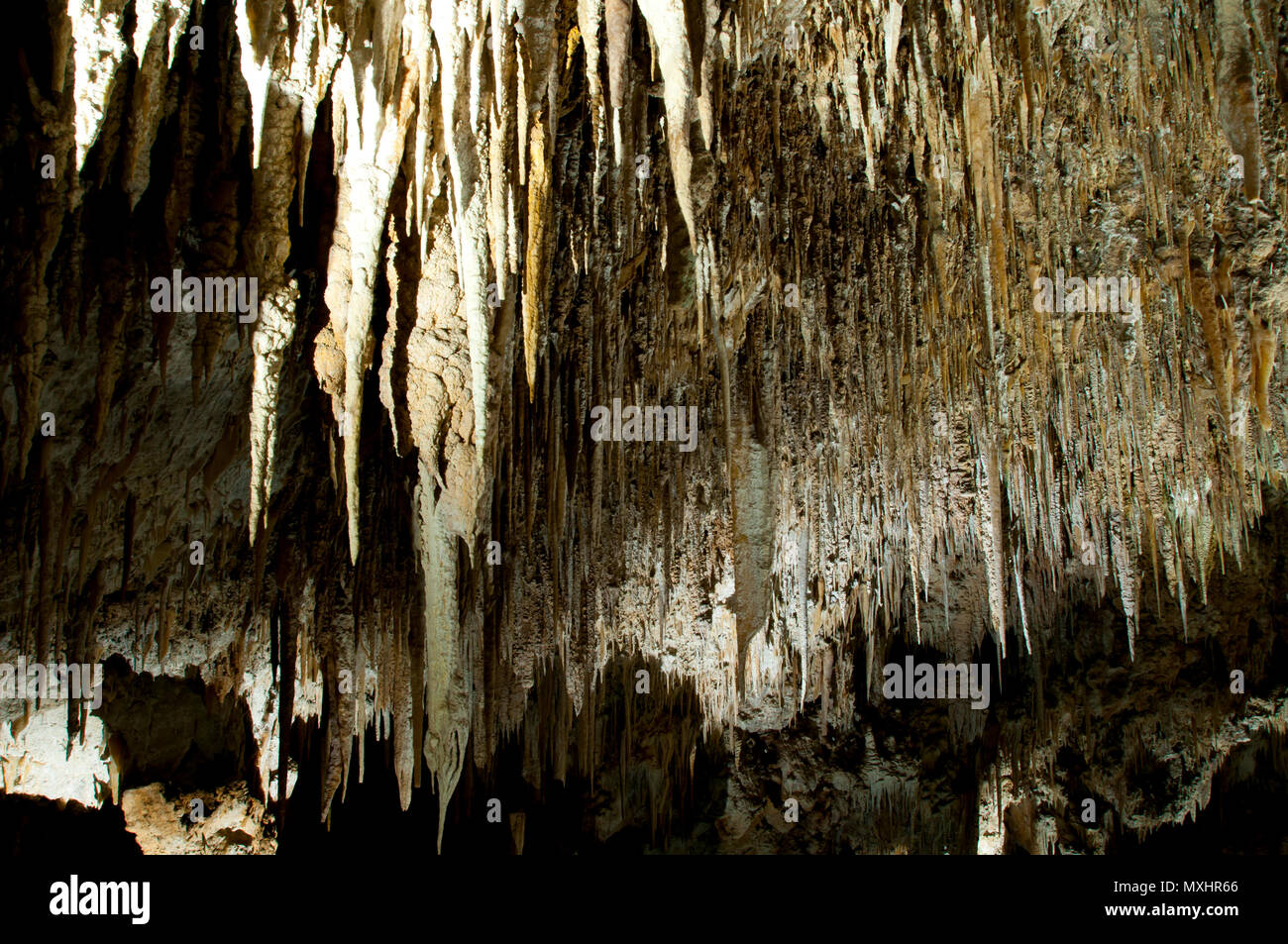 Ngilgi cave hi-res stock photography and images - Alamy