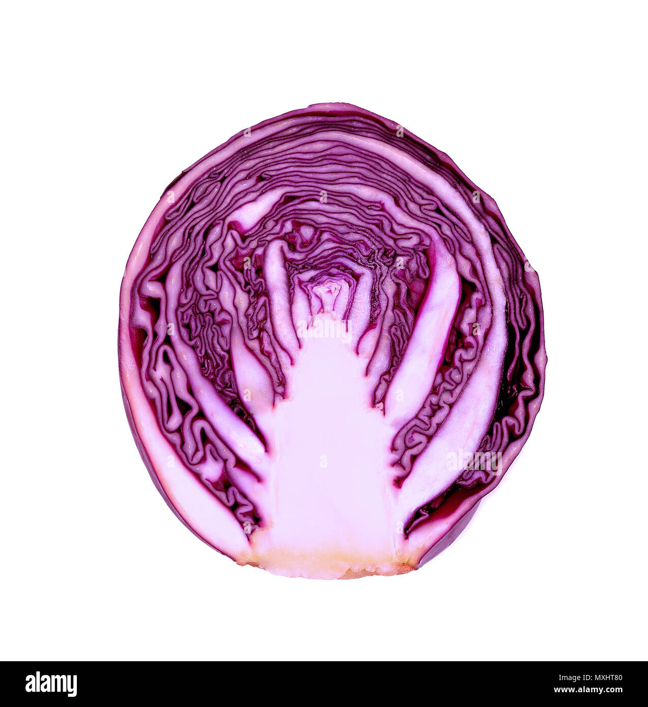 Fresh red cabbage isolated on white background Stock Photo - Alamy