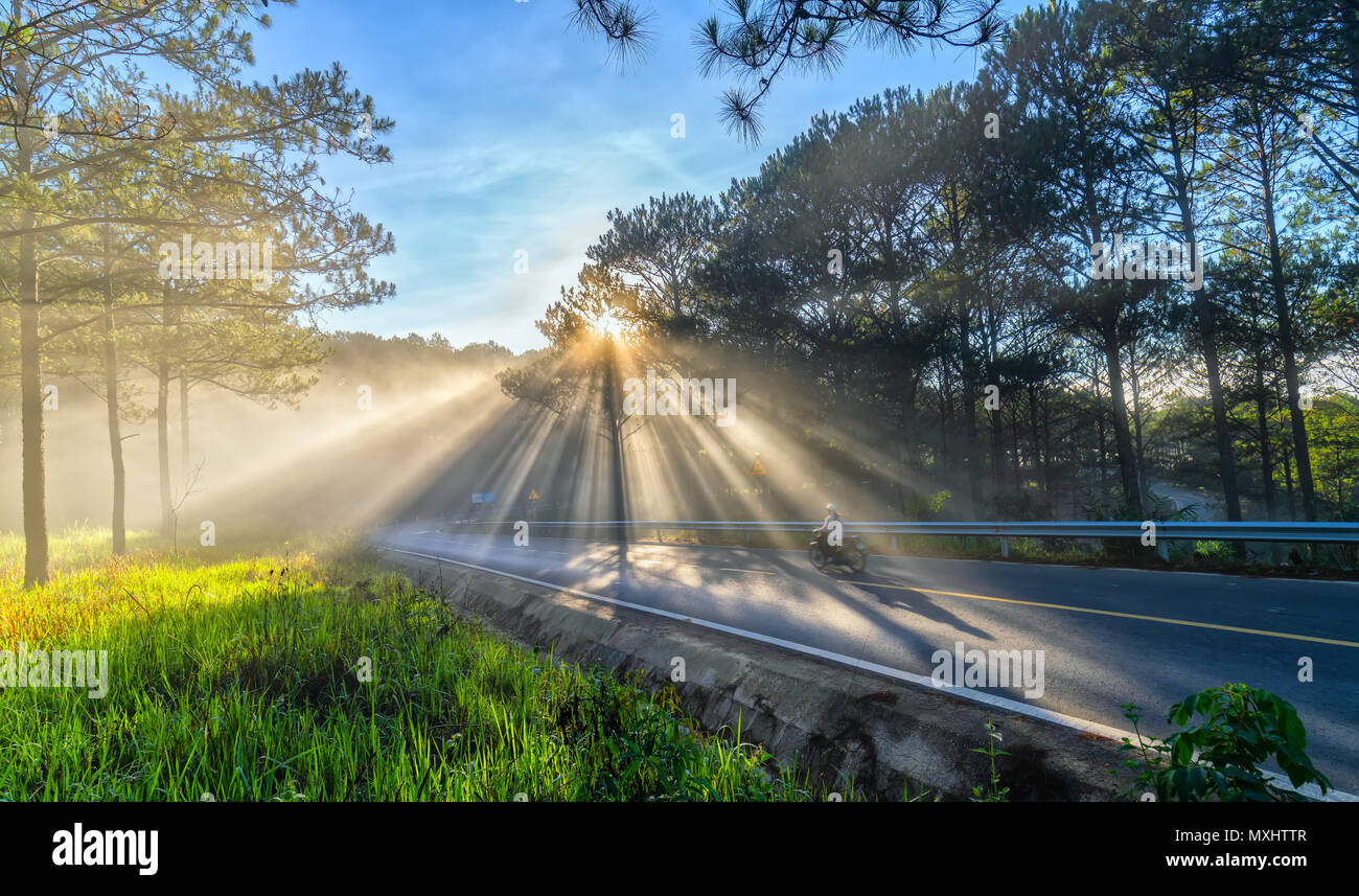 Morning Sunlight Rays