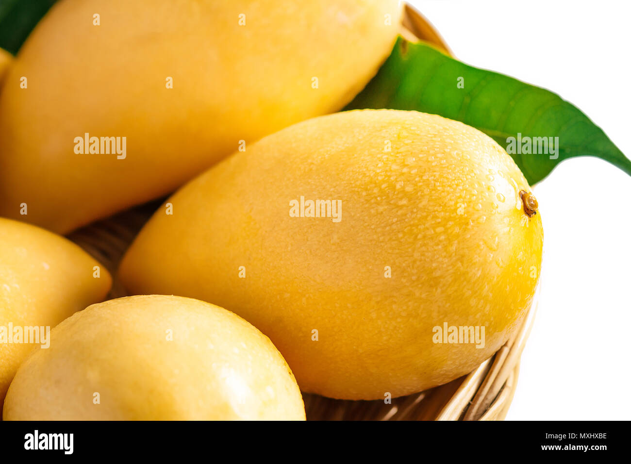 fresh Yellow mango Beautiful Skin isolate Stock Photo - Alamy