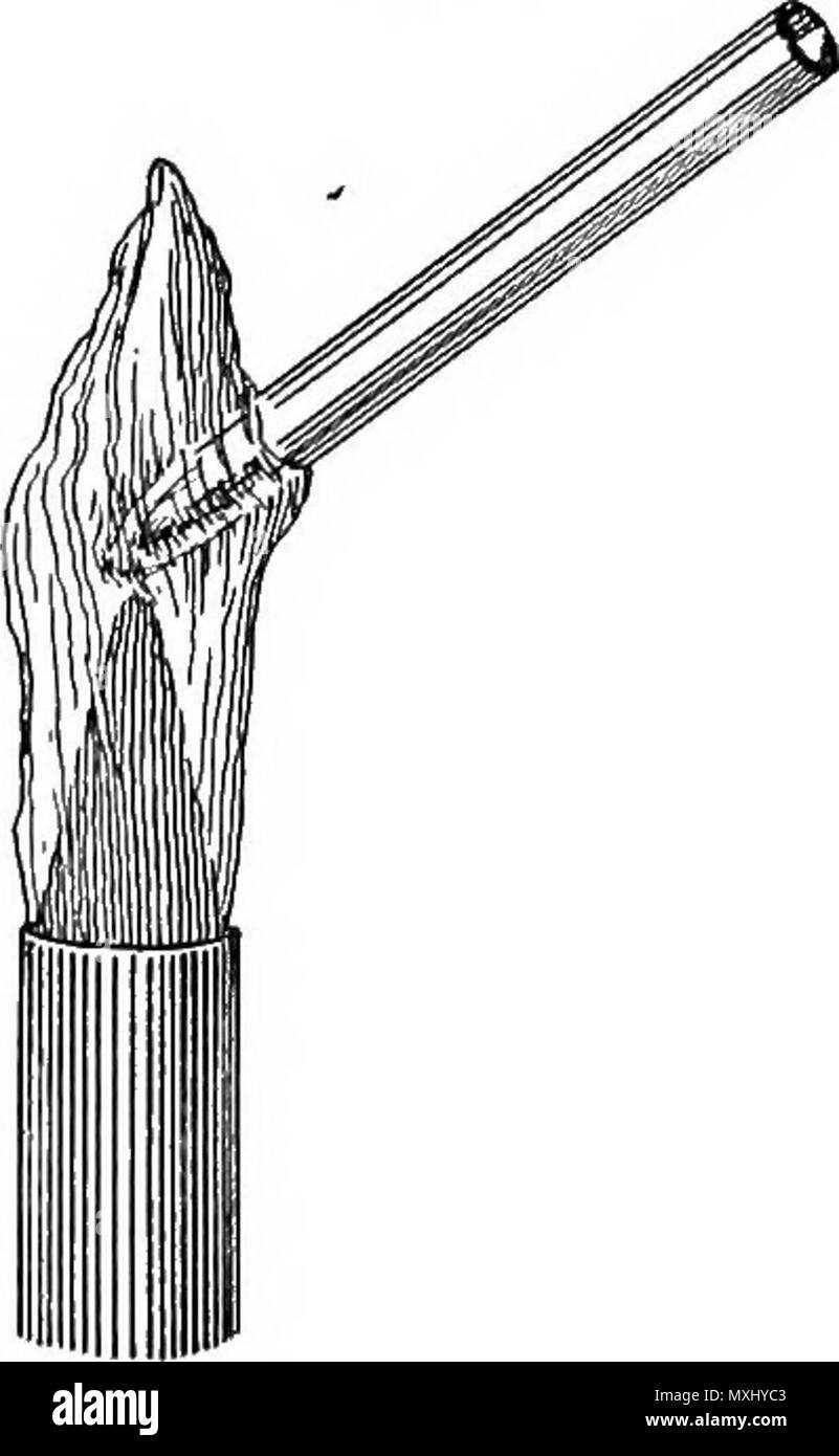 "Elements of mineralogy, crystallography and blowpipe analysis from a ...