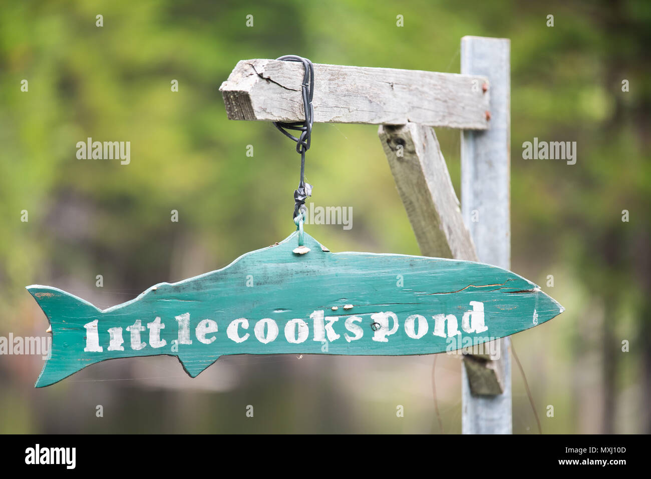 Wooden sign at Little Cook's Pond on Three Camp Road in the Adirondack ...