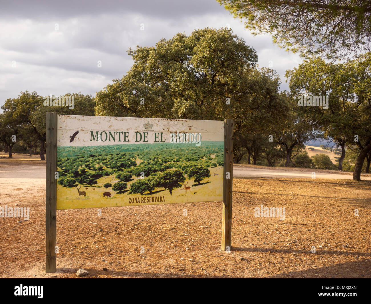 El pardo hi-res stock photography and images - Alamy