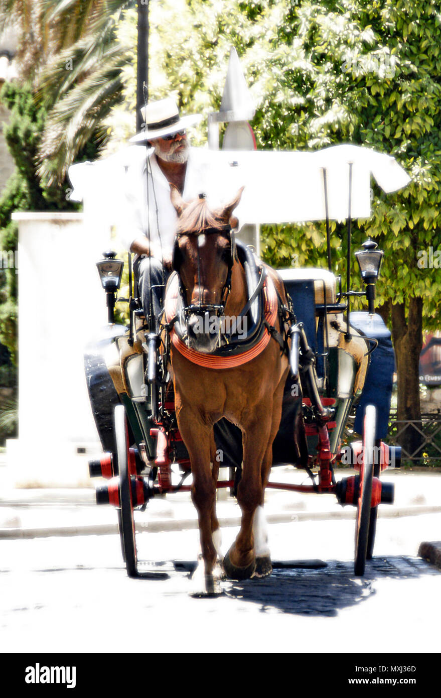 Carroza de caballo hi-res stock photography and images - Alamy