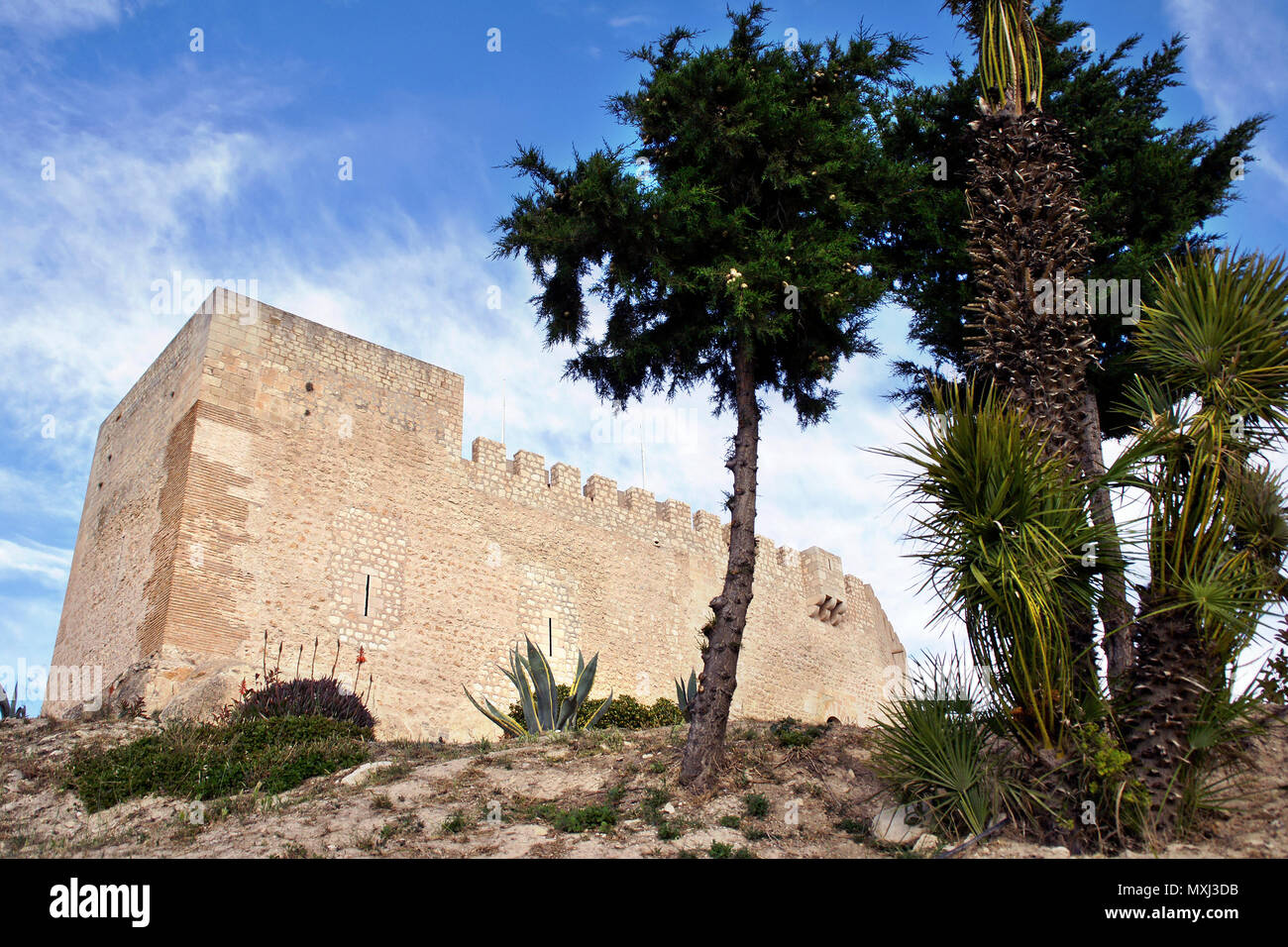 Castillo de Petrer. Alicante.España Stock Photo - Alamy