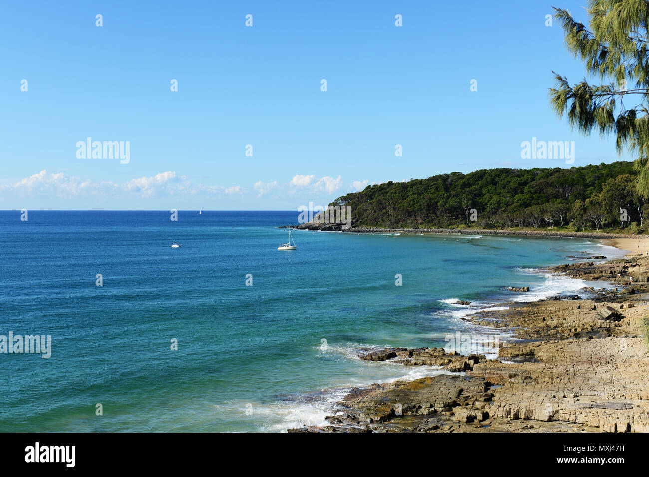 Beautiful view of Tea Tree Bay in Noosa national park in Queensland ...