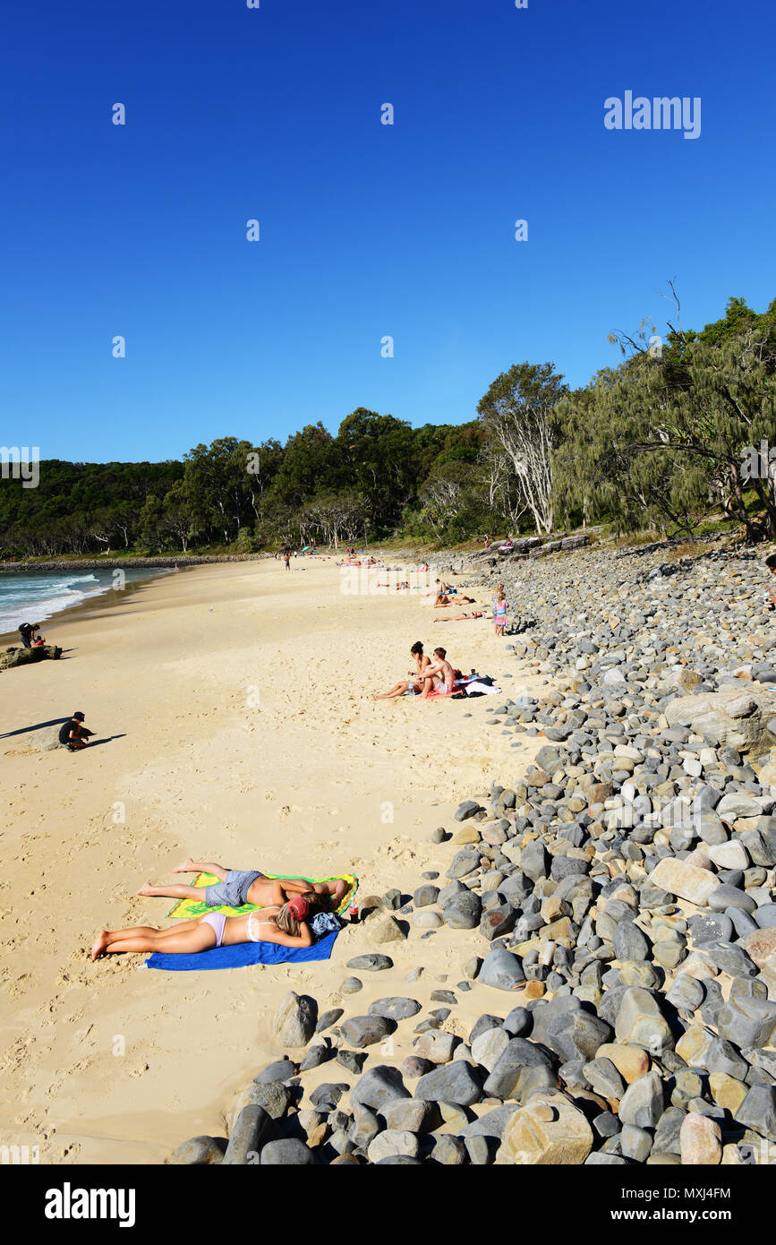 Tea tree beach hi-res stock photography and images - Alamy