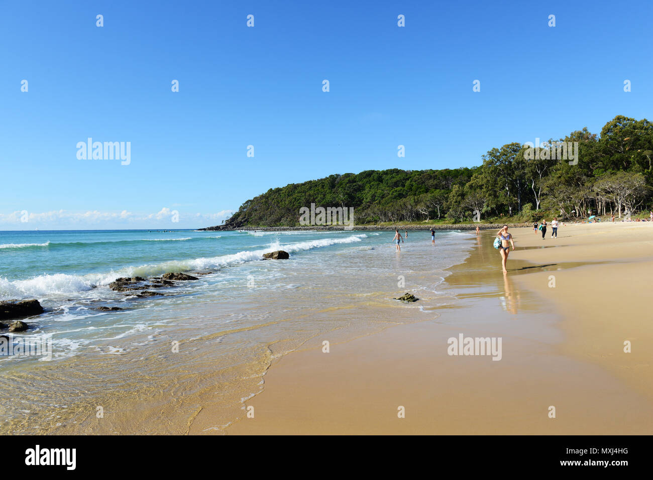 The beautiful Tea Tree Bay beach in Noosa national park Stock Photo - Alamy