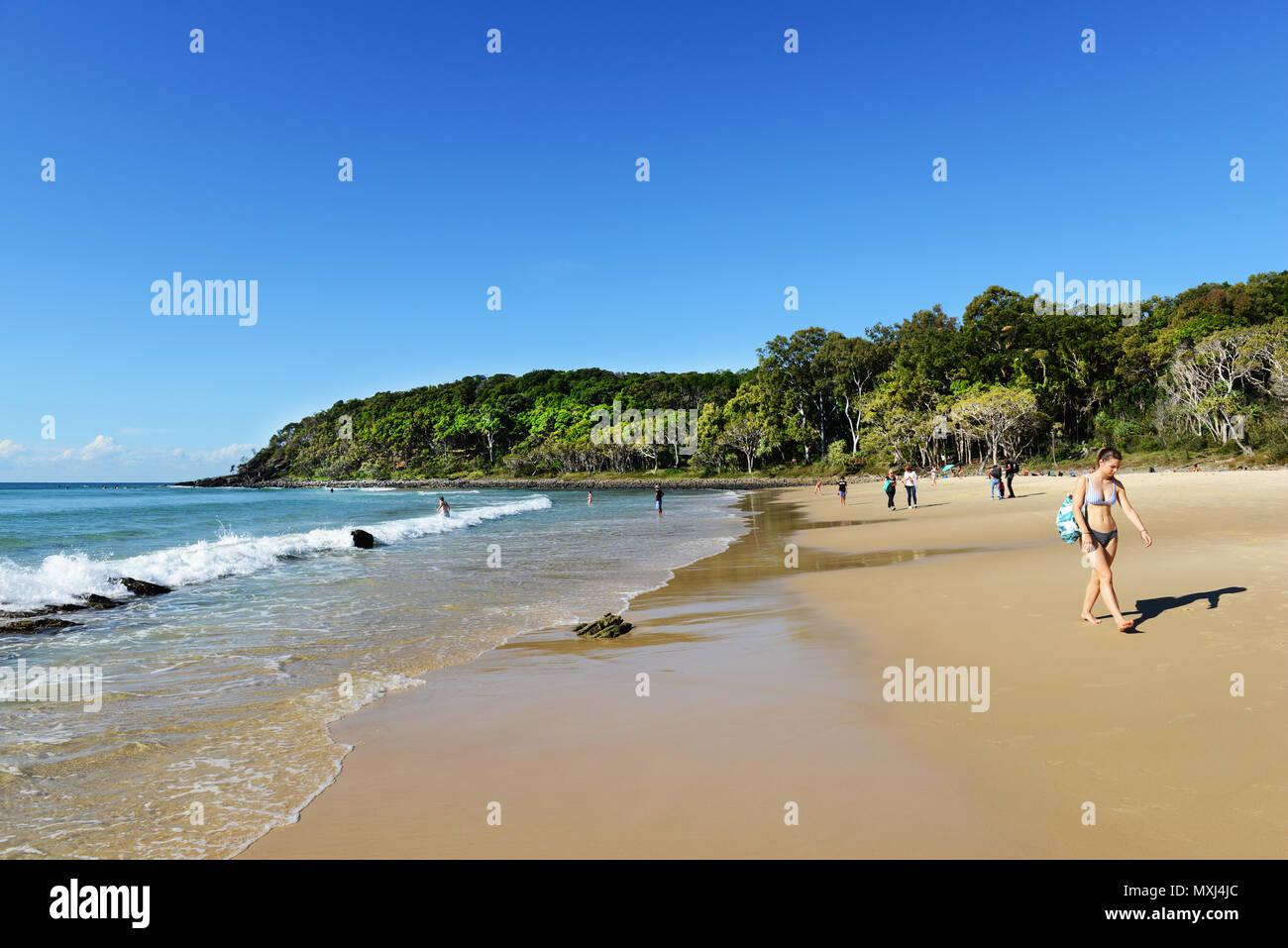 Tea tree bay noosa hi-res stock photography and images - Alamy