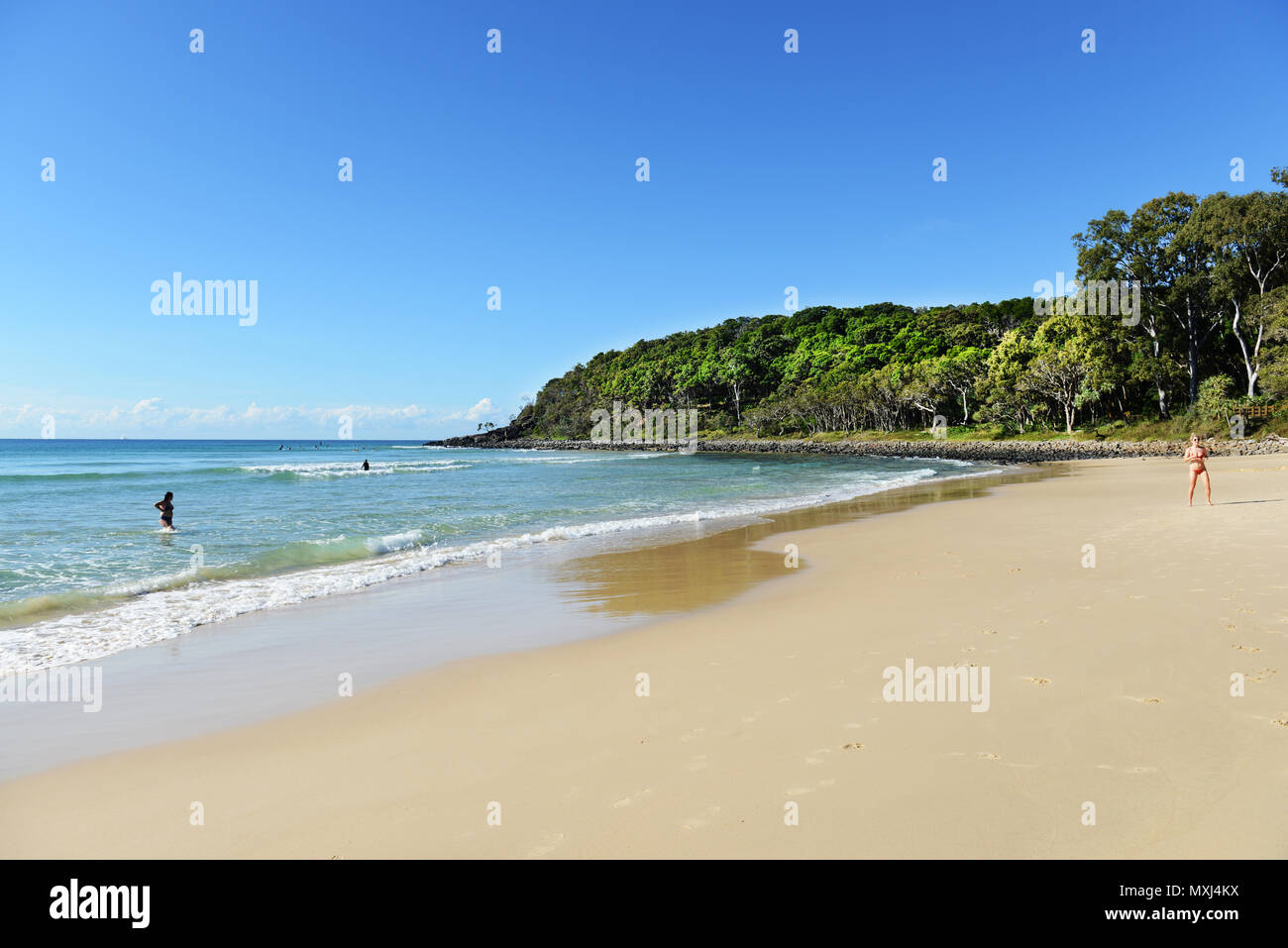 Tea tree bay noosa hi-res stock photography and images - Alamy