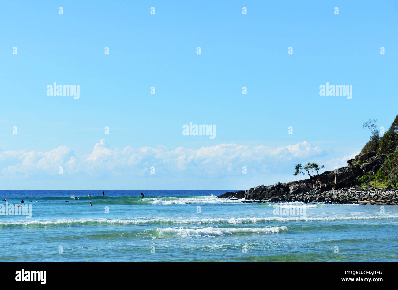 Tree surfers hi-res stock photography and images - Alamy