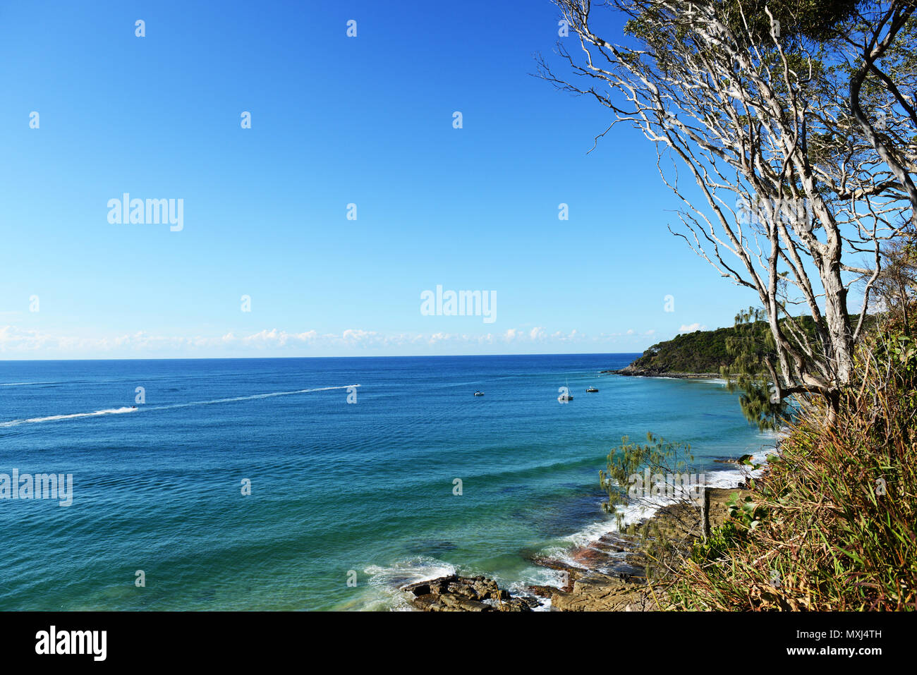 Beautiful view of Tea Tree Bay in Noosa national park in Queensland ...