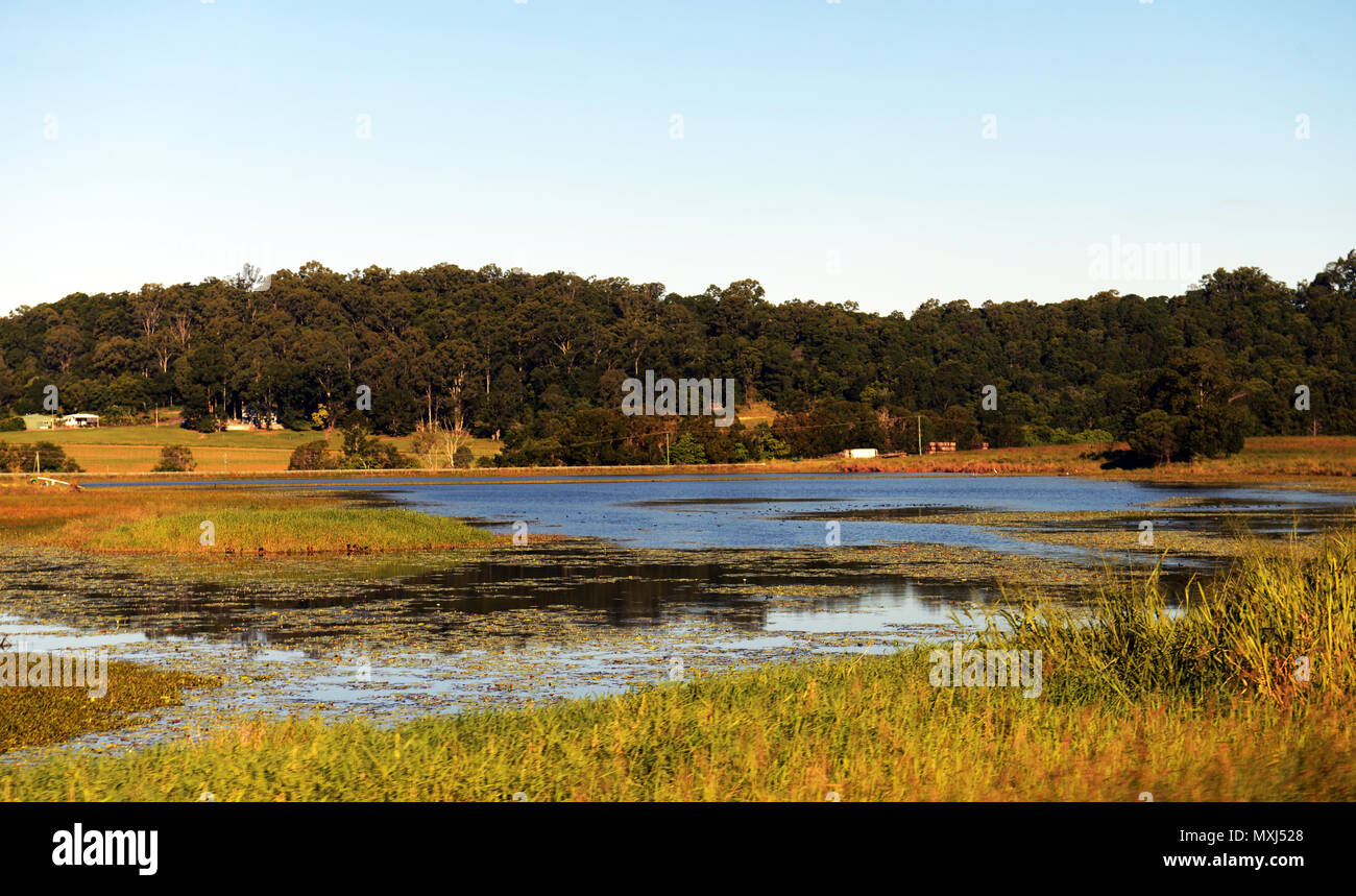 Mount tamborine qld landscape hi-res stock photography and images - Alamy