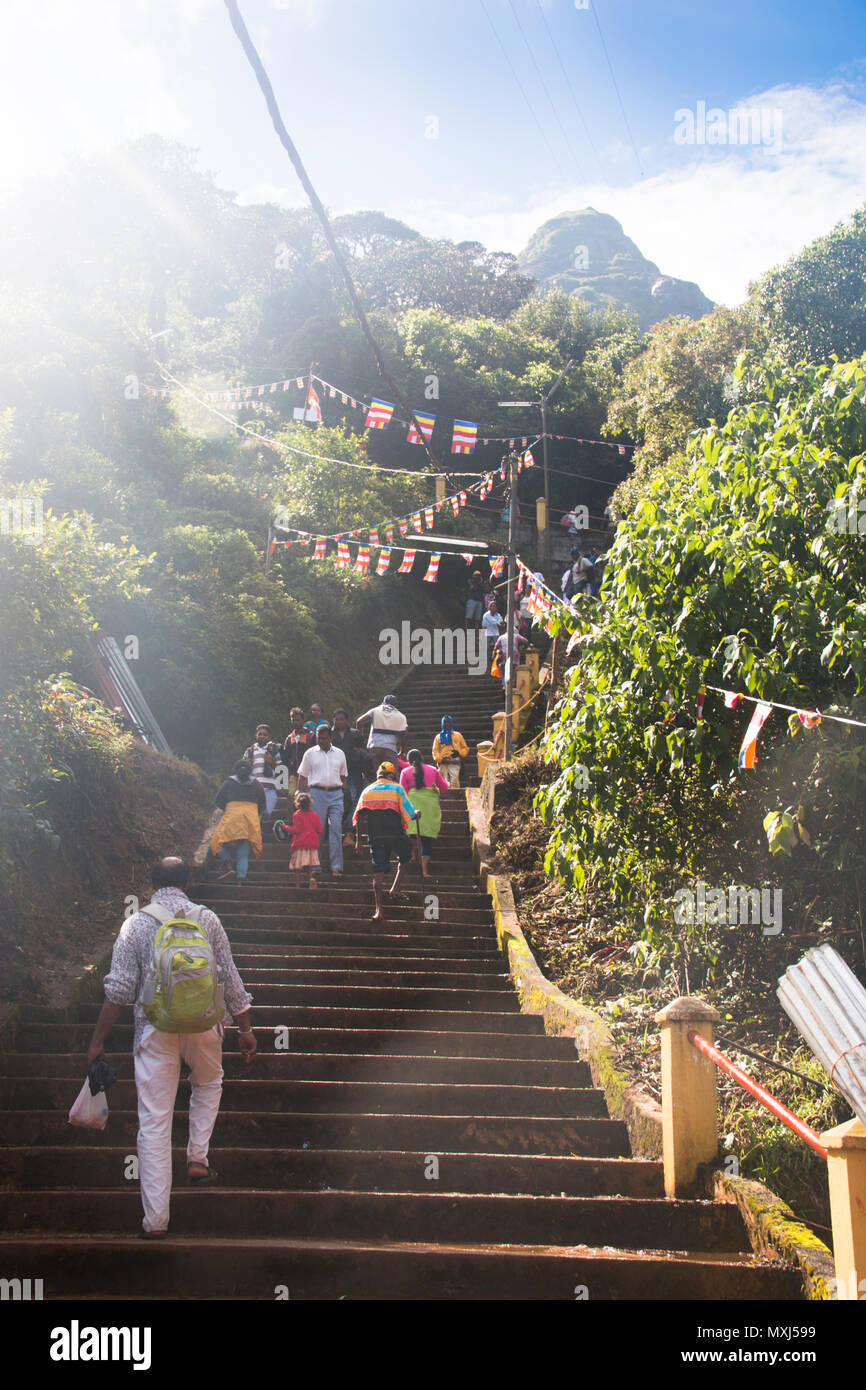 ADAM'S PEAK, SRI LANKA - DECEMBER 2017: Buddhist pilgrims walking the ...