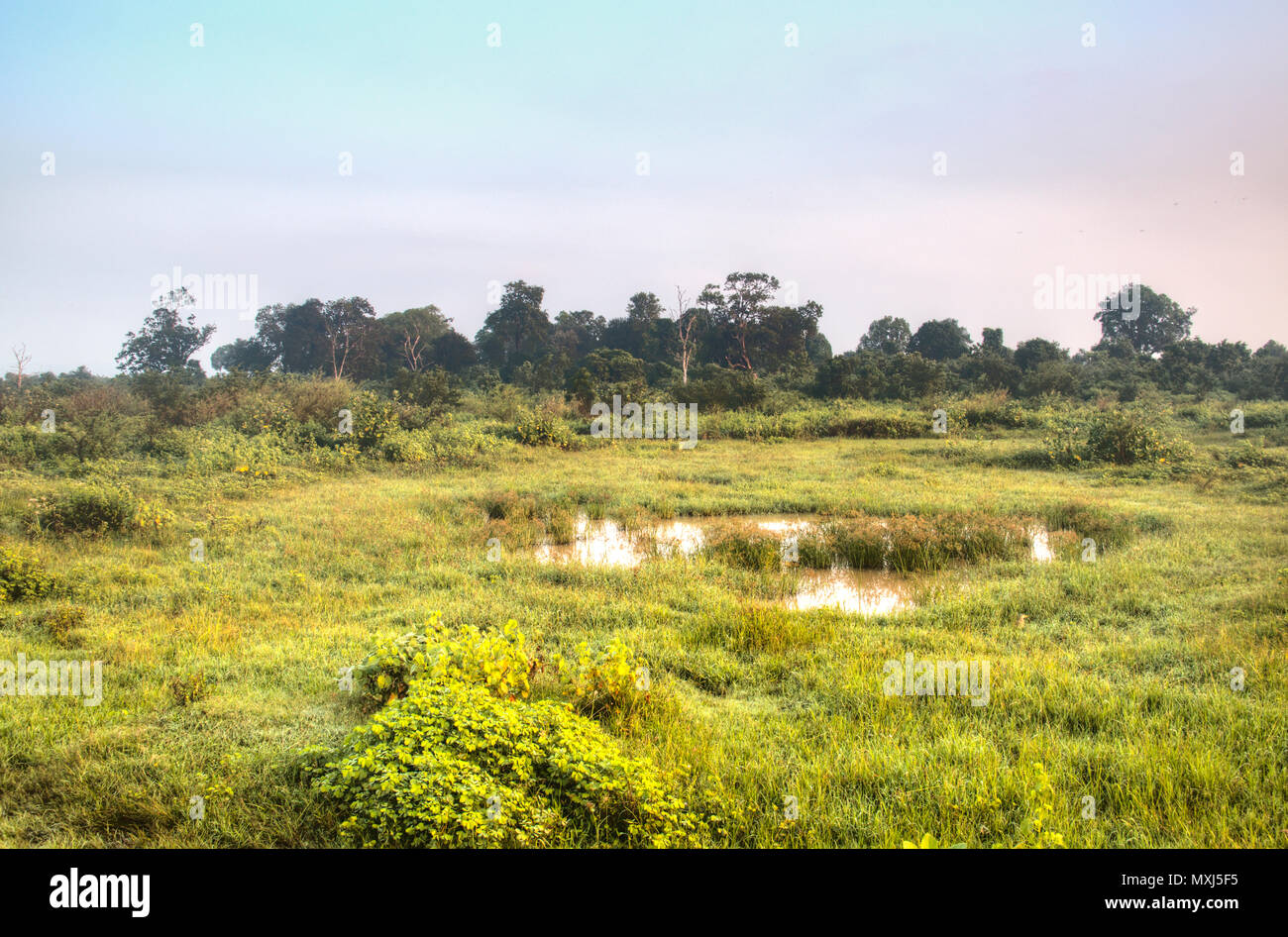 Landscape in the beautiful Udawalawe National Park in the south of Sri ...