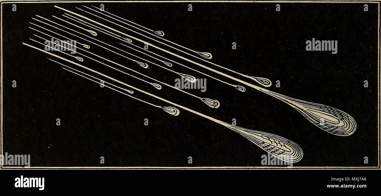 "Elements of astronomy: accompanied with numerous illustrations, a ...