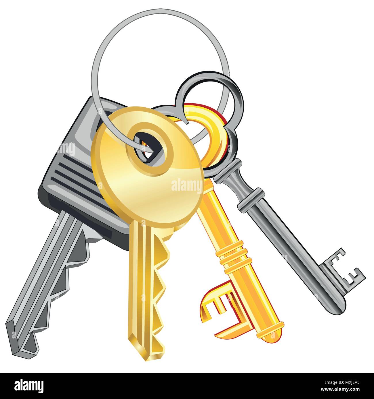 Ligament keys Stock Vector Images - Alamy
