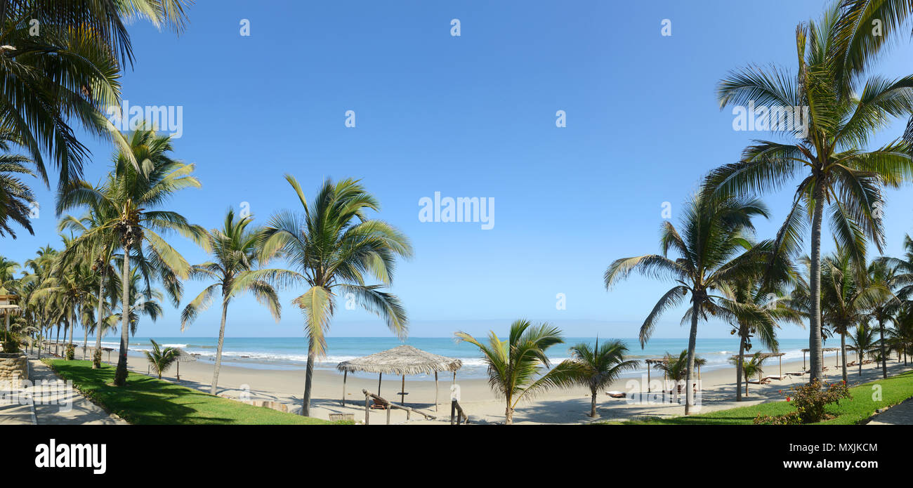 Panoramic iew of Mancora, Peru with palm trees on a clear day Stock ...