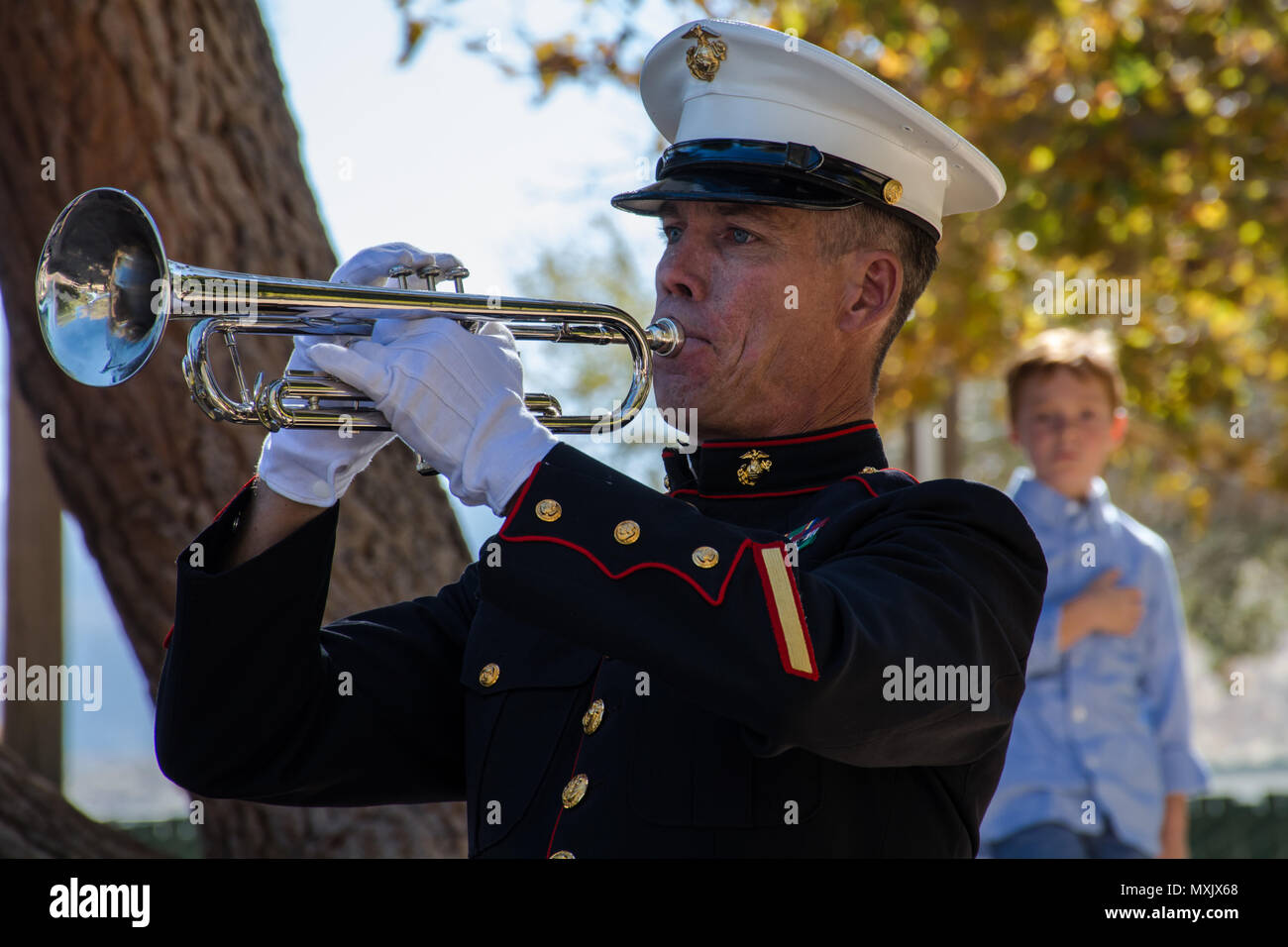 11th armored cavalry regiment acr 11 acr hi-res stock photography and ...