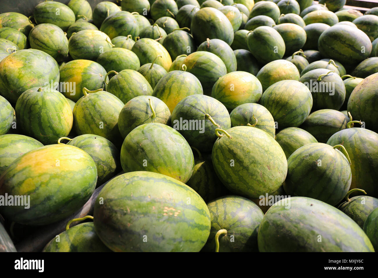 Watermelon Market Agriculture Background Stock Photo - Alamy