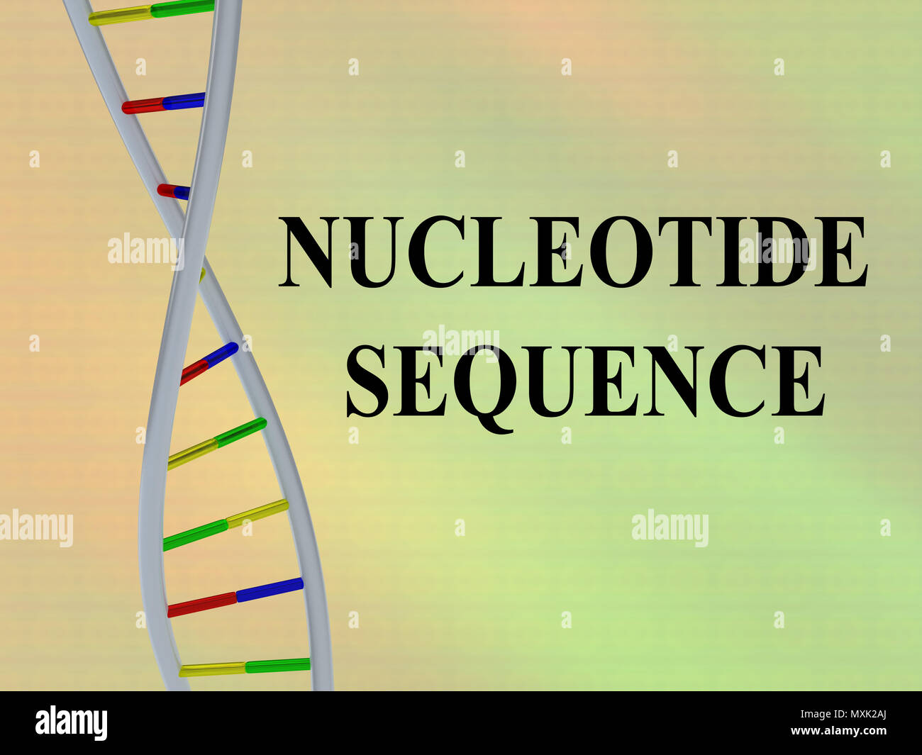 Nucleotide sequence hi-res stock photography and images - Alamy