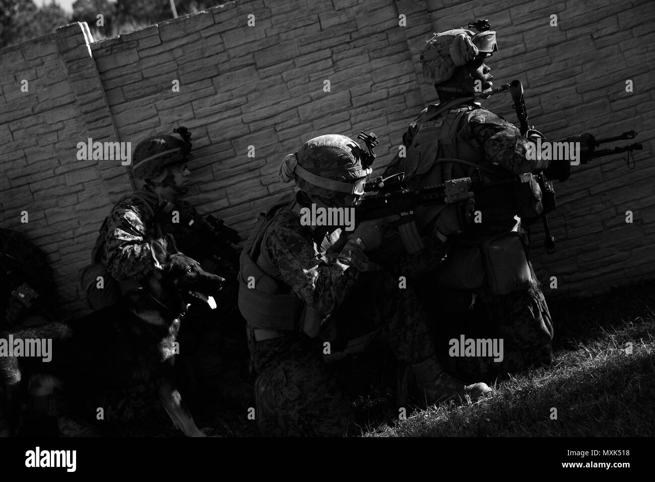 24th motorized regiment hi-res stock photography and images - Alamy