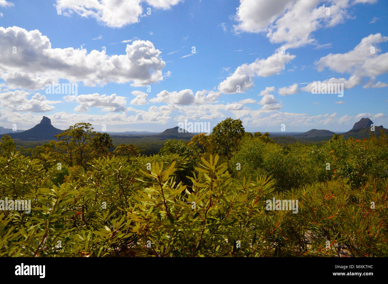 the Glasshouse Mountains in Queensland in Australia Stock Photo - Alamy