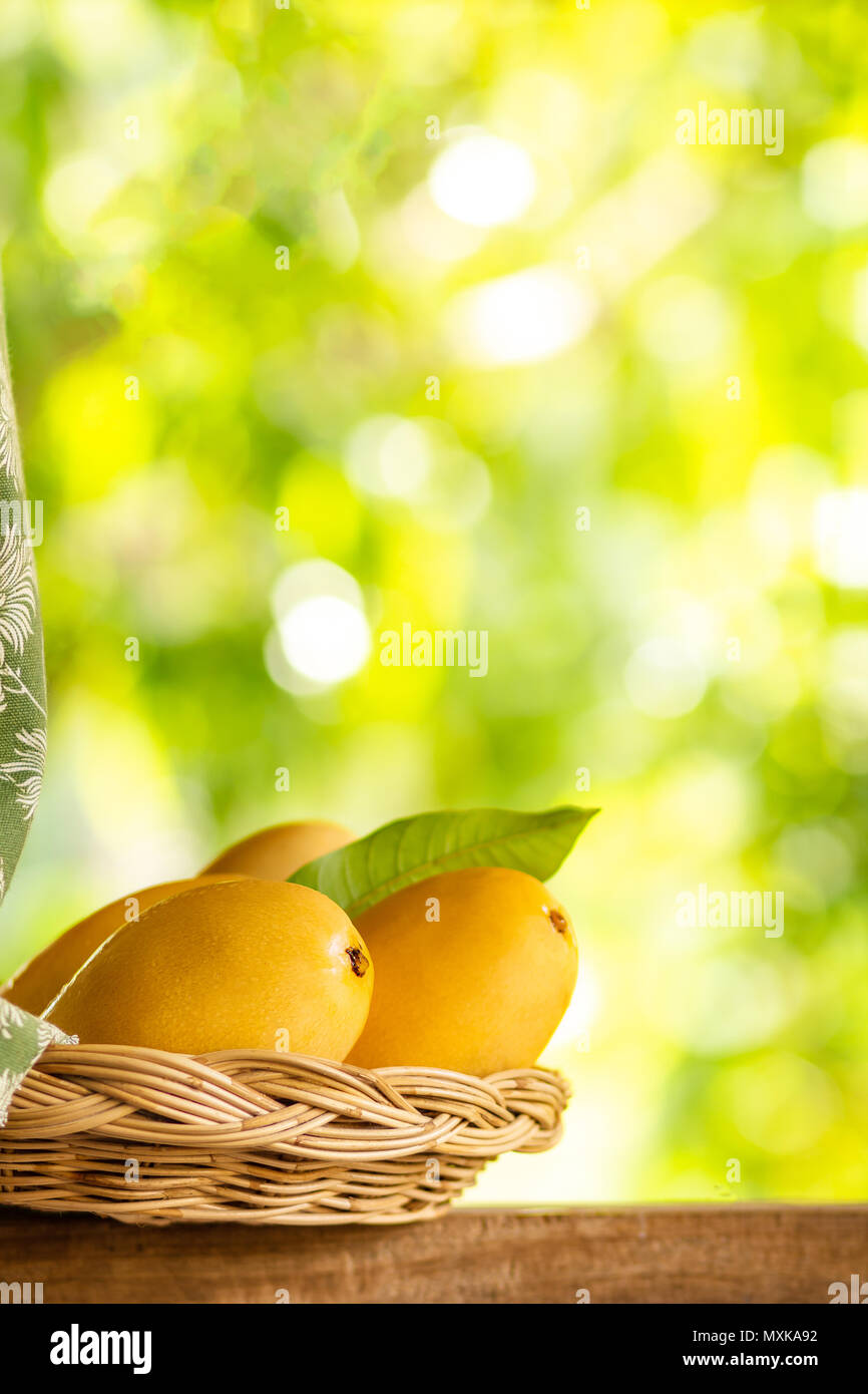 fresh Yellow mango Beautiful Skin isolate Stock Photo - Alamy