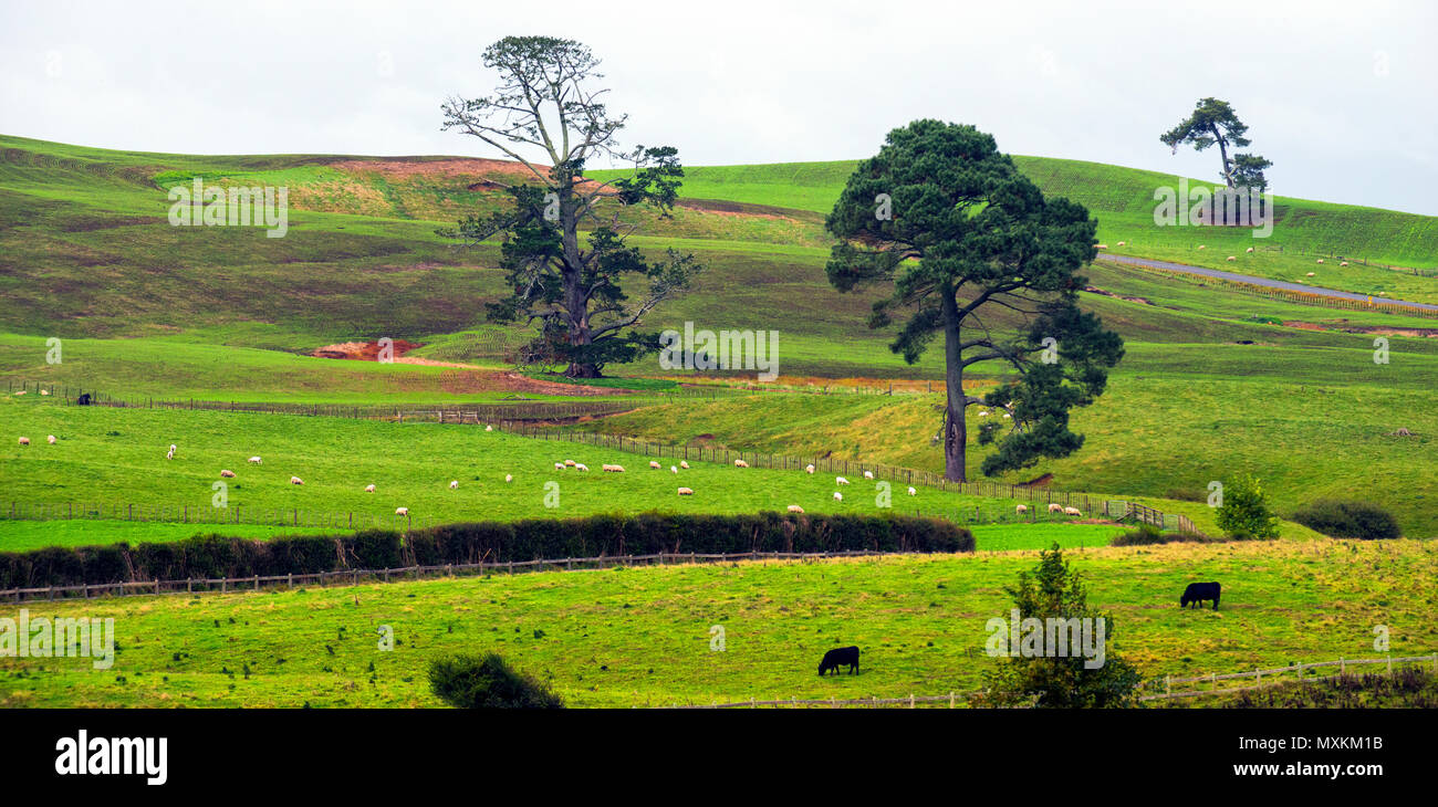 Maori new zealand south island hi-res stock photography and images - Alamy