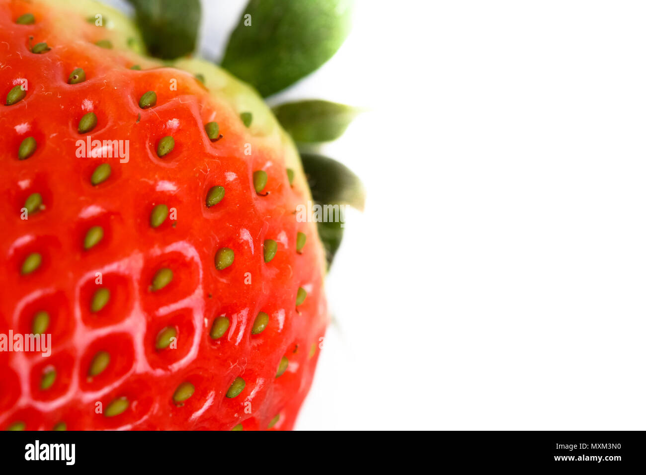 Red natural strawberry close up macro photo, with green leaves ...