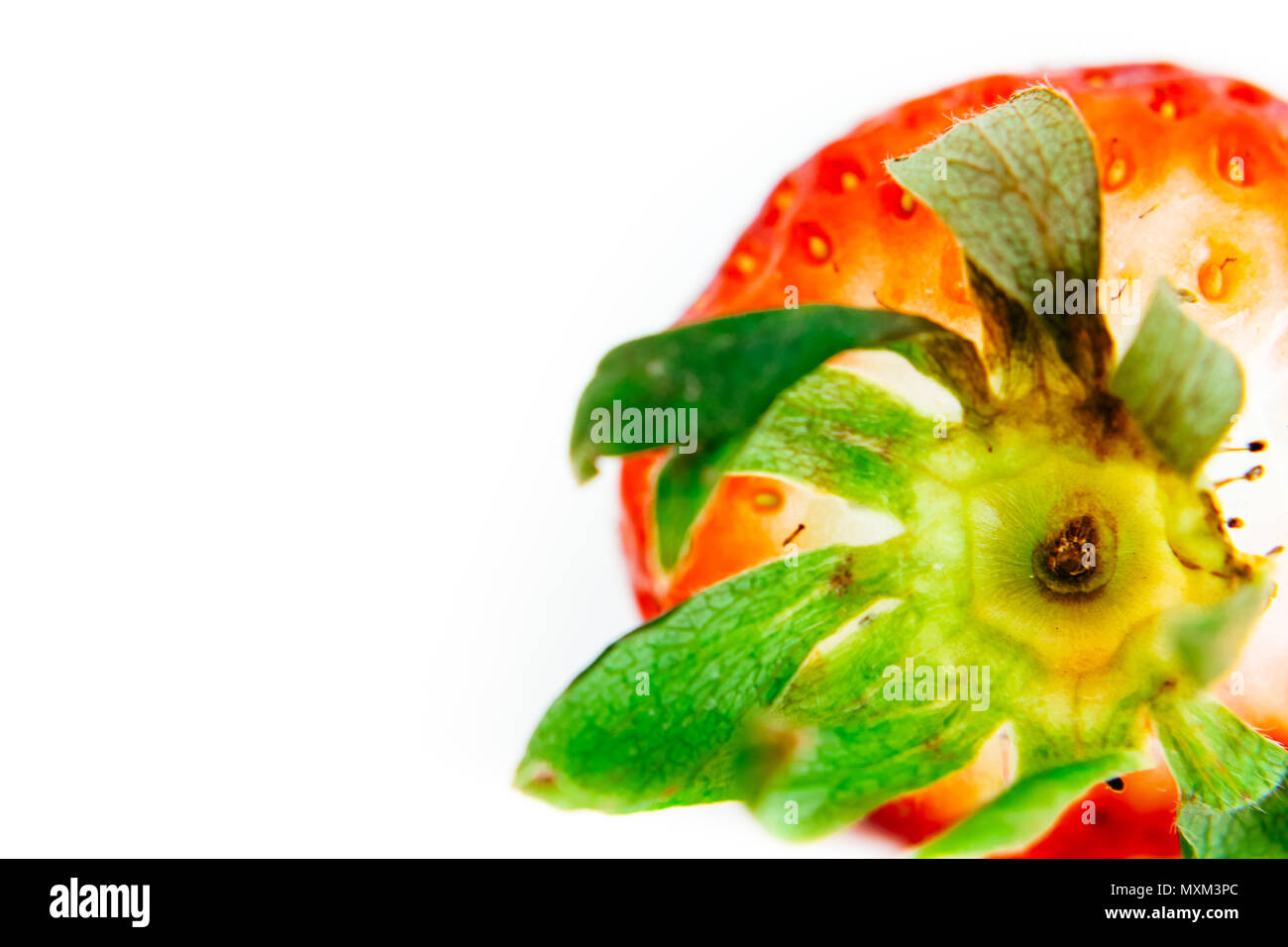 Fresh and natural red strawberry extreme macro photo, with green leaves ...
