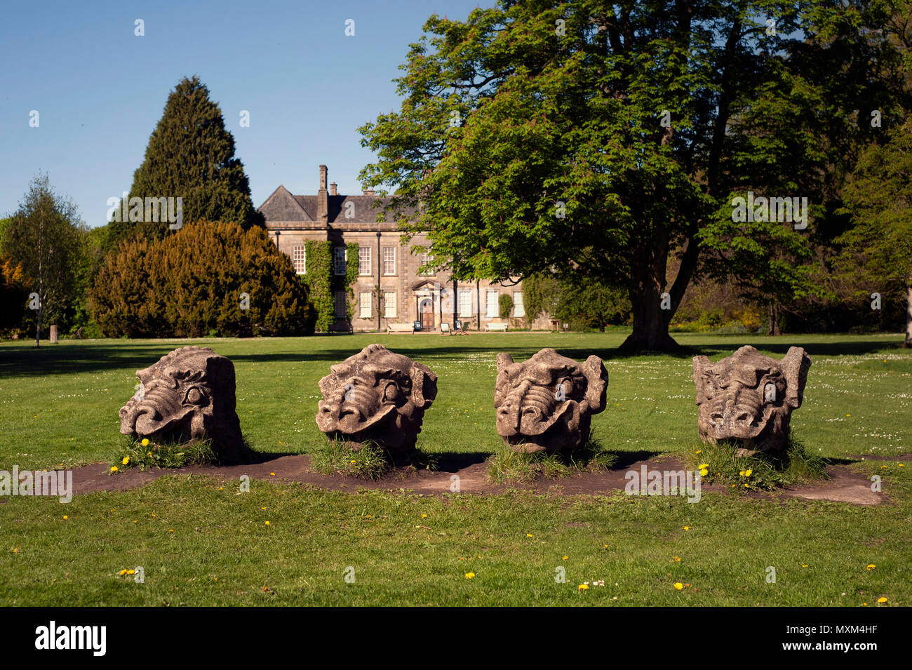 Carved griffin heads outside Wallington Hall, Northumberland Stock ...