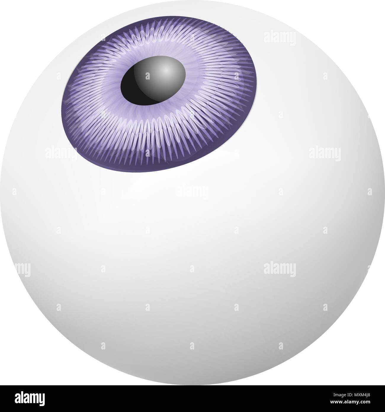 Vector realistic human eyeball eye with bright blue hi-res stock ...