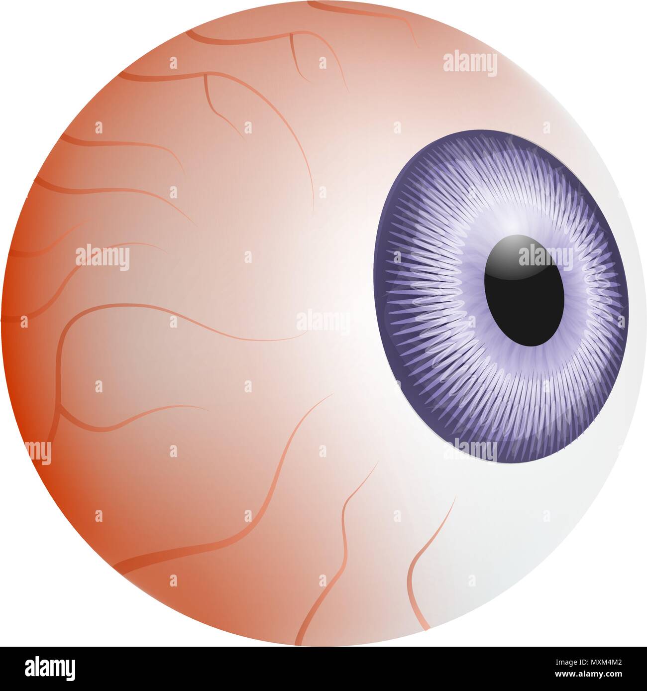 Realistic 3d blue eyeball Stock Vector Images - Alamy