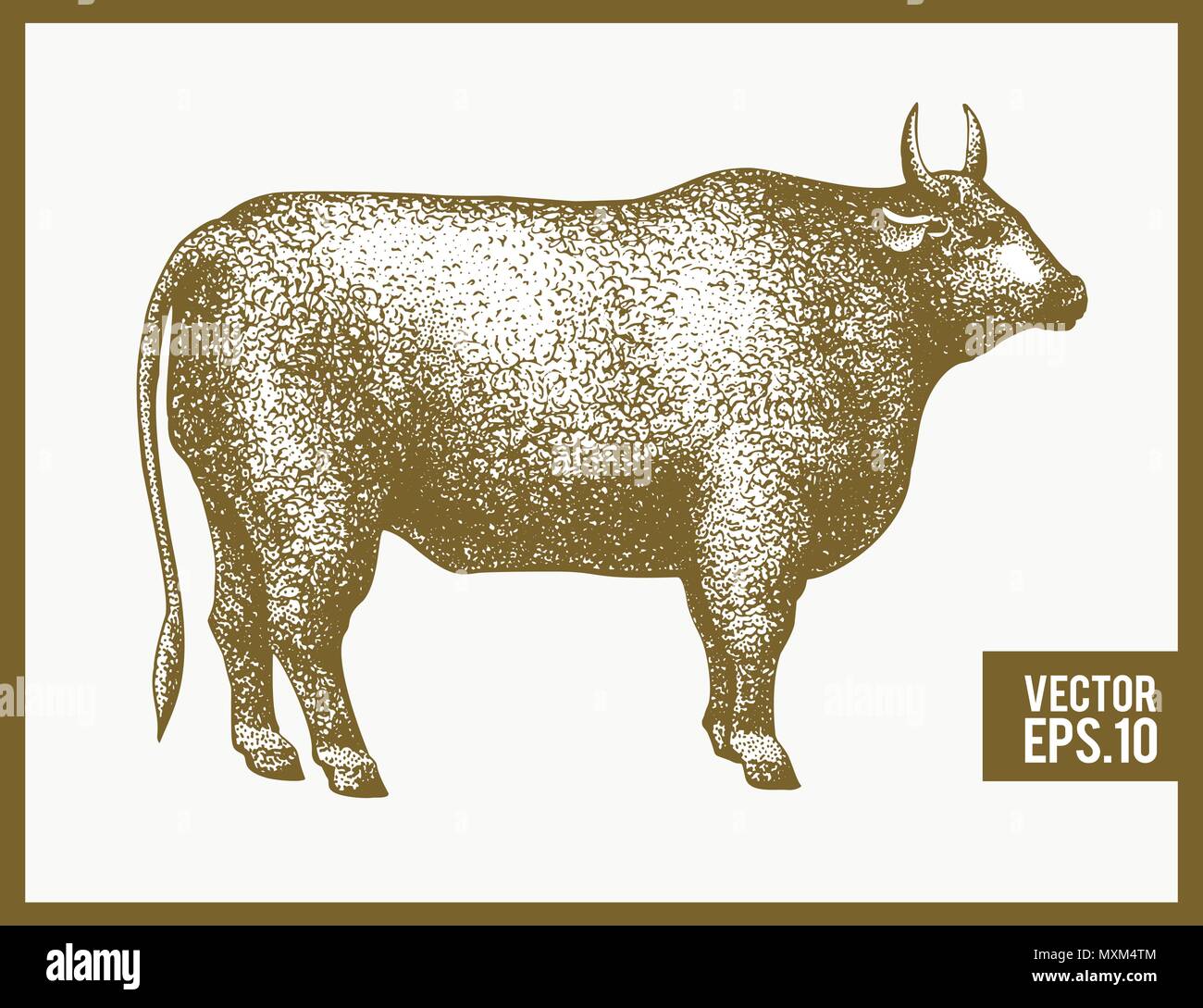 Graphical bull silhouette. Vector hand drawn bull illustration. Vintage ...