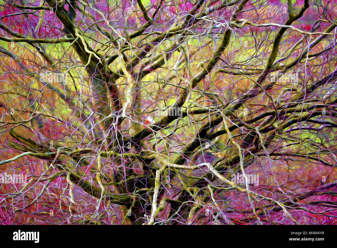 Artistic tree hi-res stock photography and images - Alamy