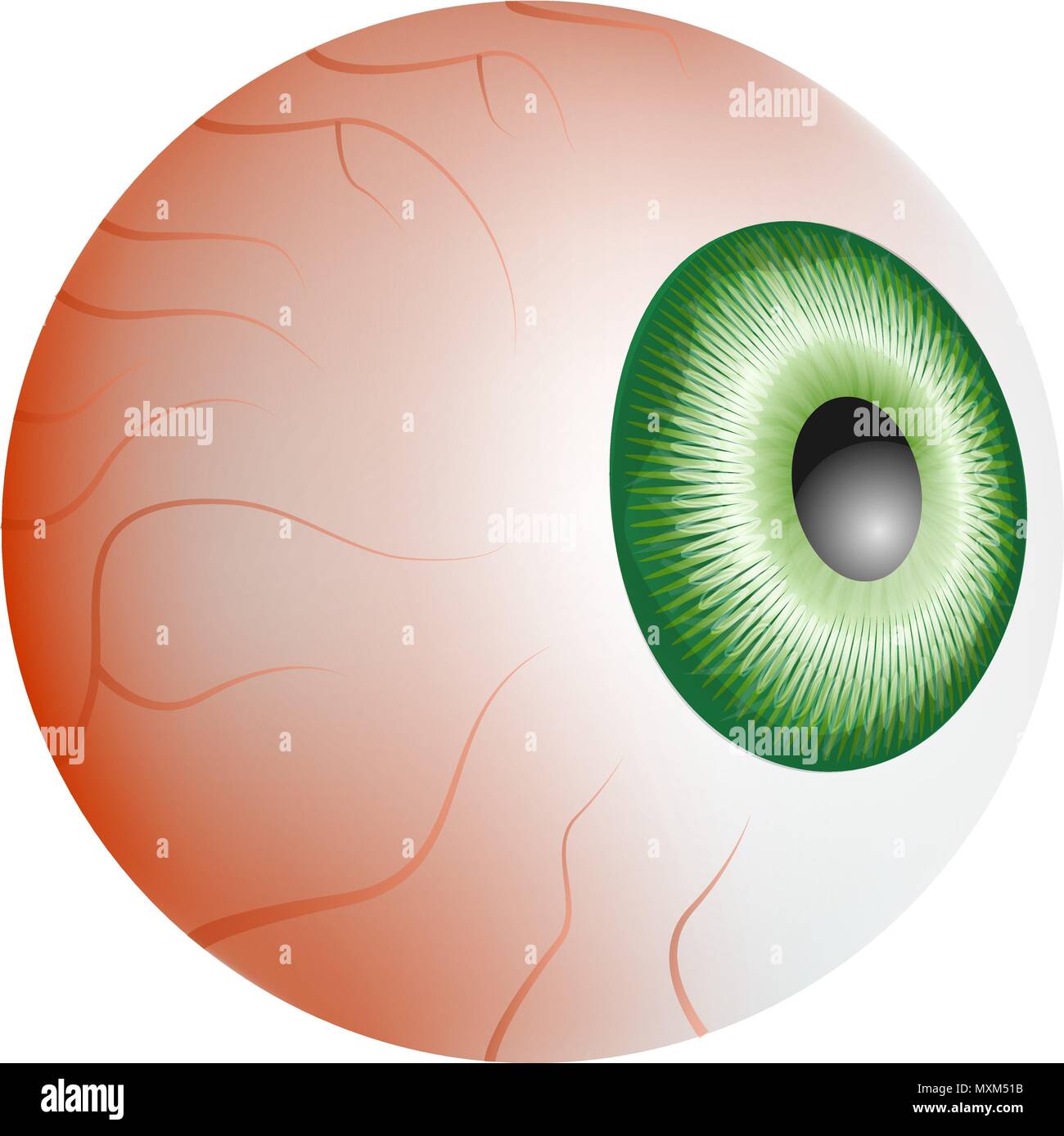 Eyeball blood mockup, realistic style Stock Vector Image & Art - Alamy